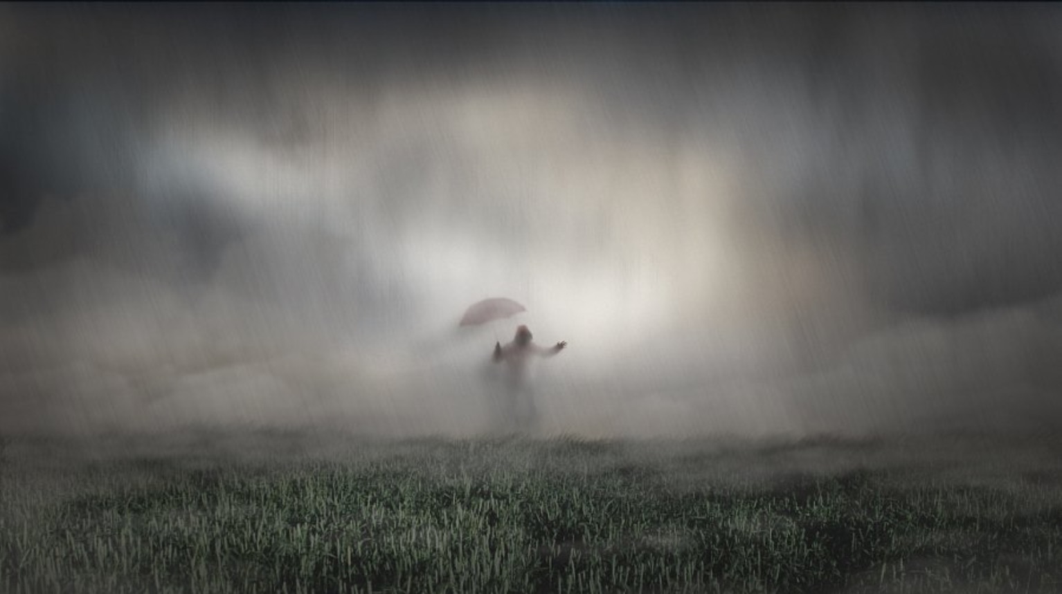 New Business? Alone in the Fog? - SerialTrainer7